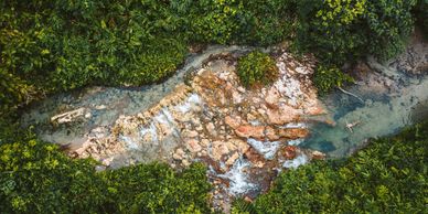 Walindi Plantation Resort - Kimbe Bay, Papua New Guinea