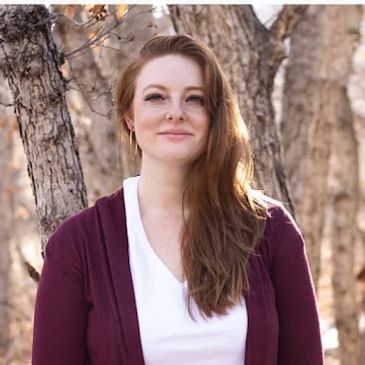 Alexis Olson Counseling P.C.