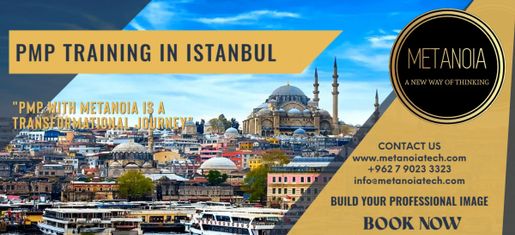 Metanoia Training and Consulting - Pmp, Risk Management