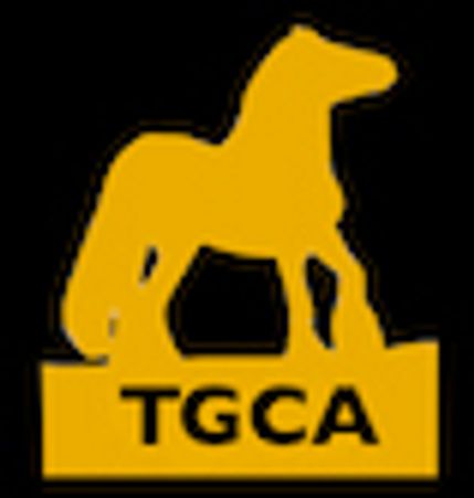 Passports/Overstamps