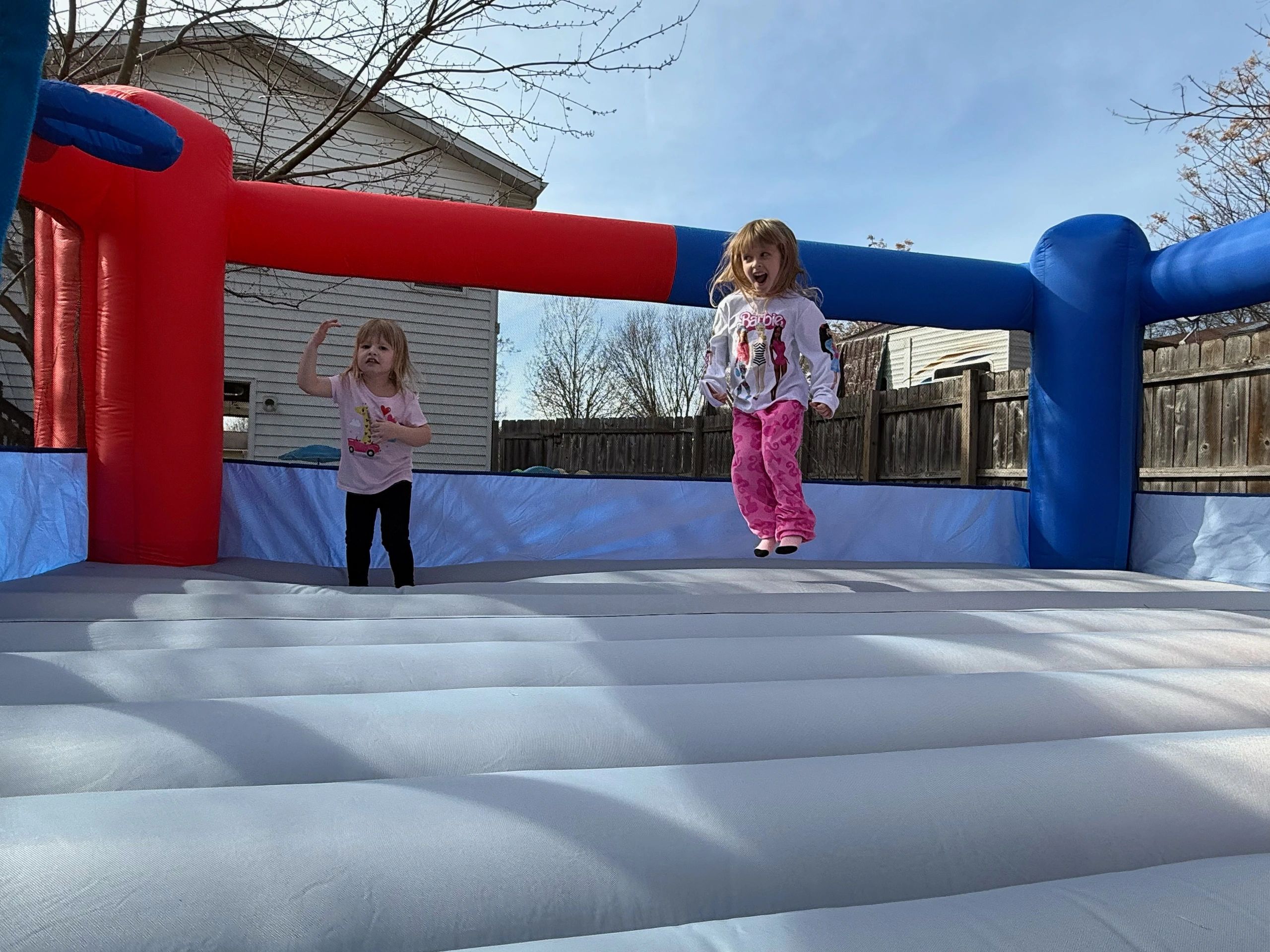 Chippewa Valley Backyard Bouncers