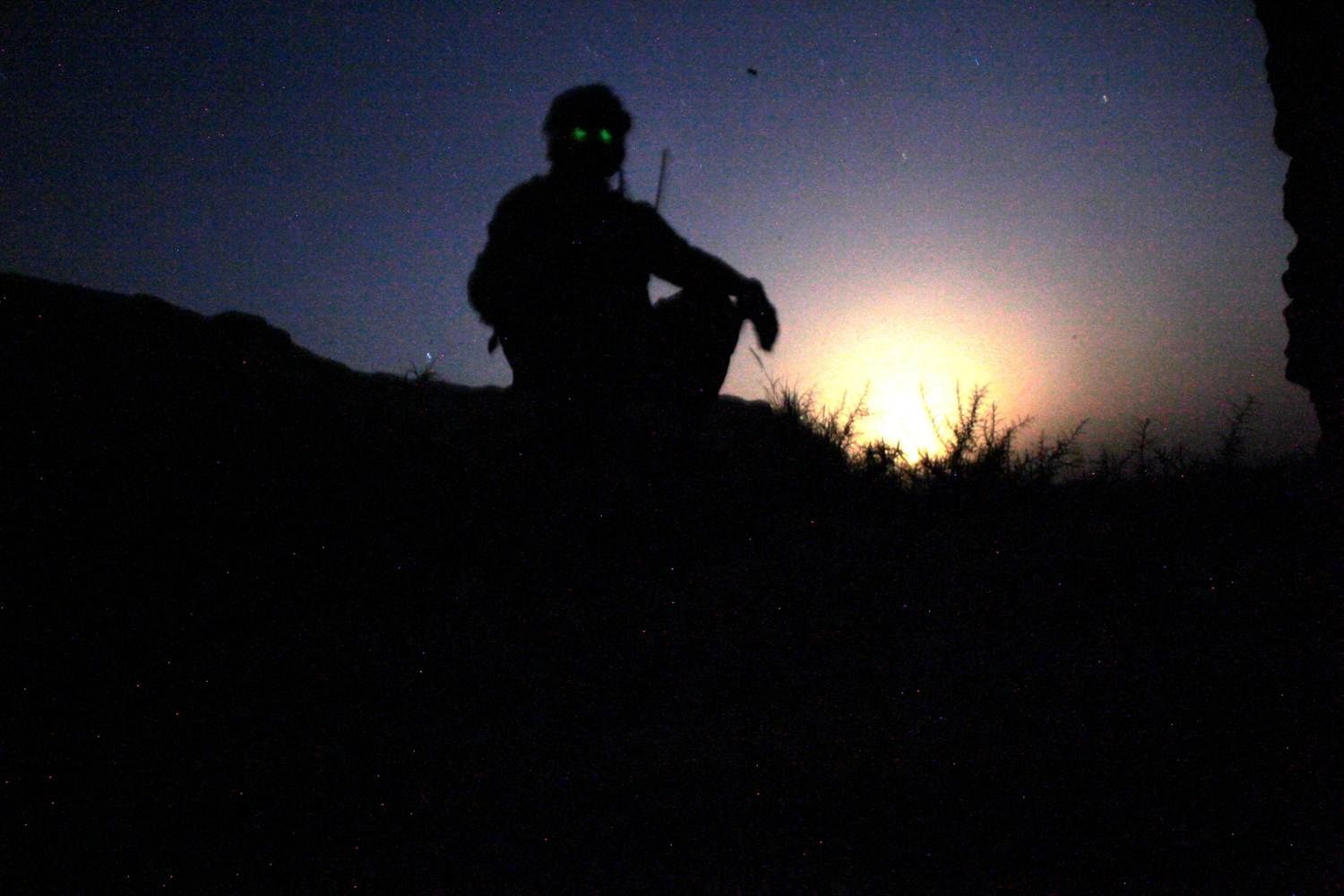 Operations | Feral Animal Control