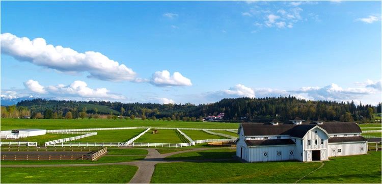 River Run Ranch - Home