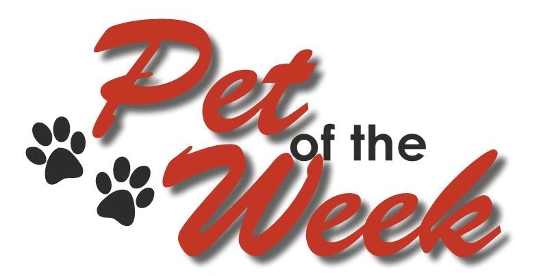 PET OF THE WEEK