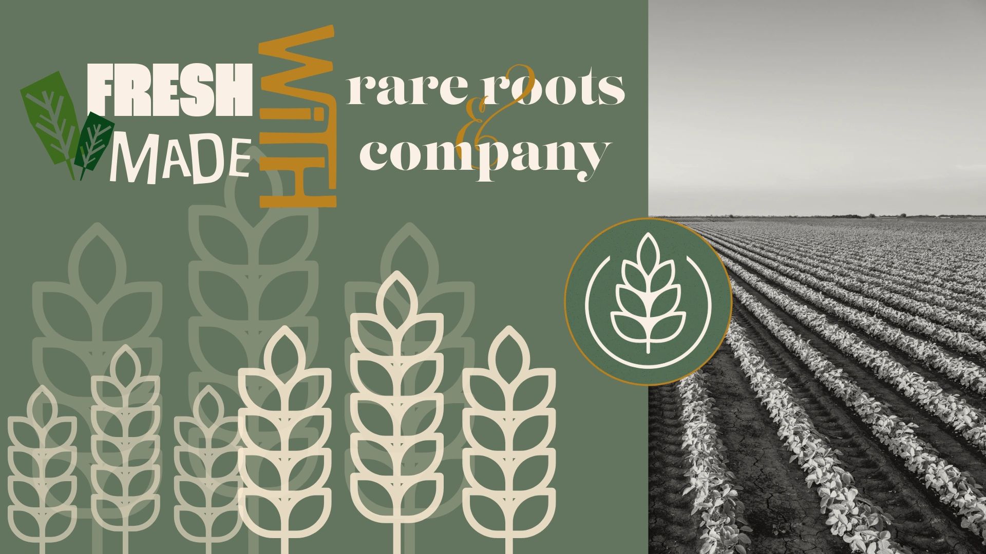 Rare Roots & Company