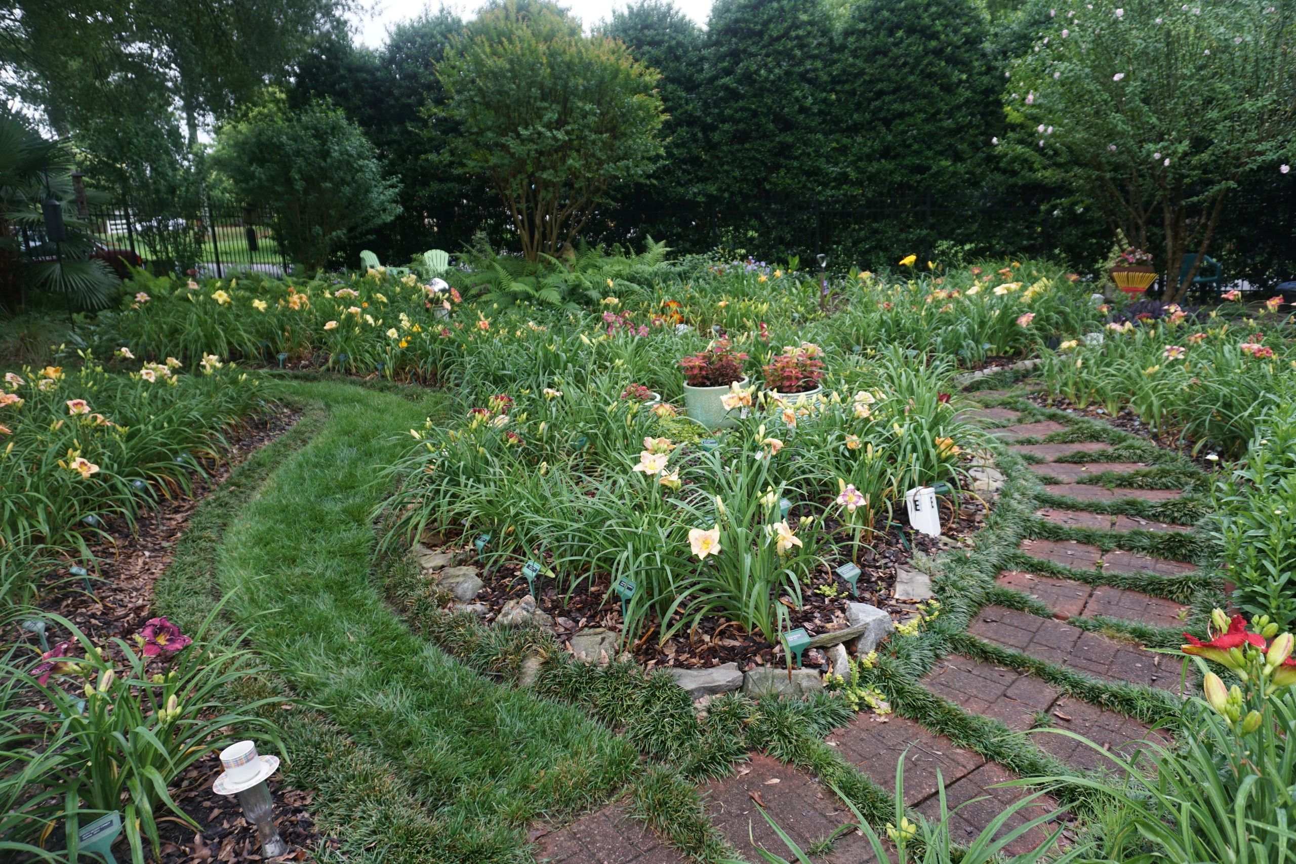 2007 Flower Introductions - BILLINDA DAYLILY GARDEN
