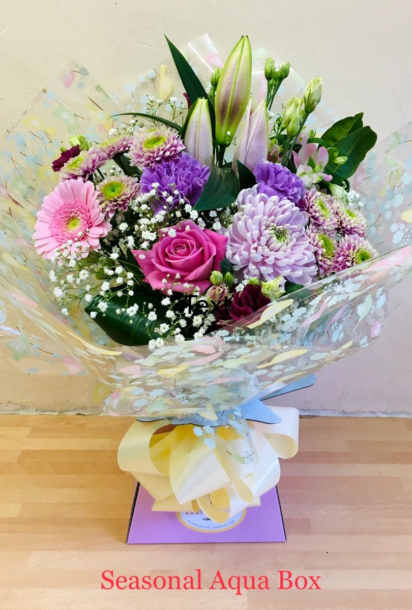 Seasonal Aqua box *no delivery charge*