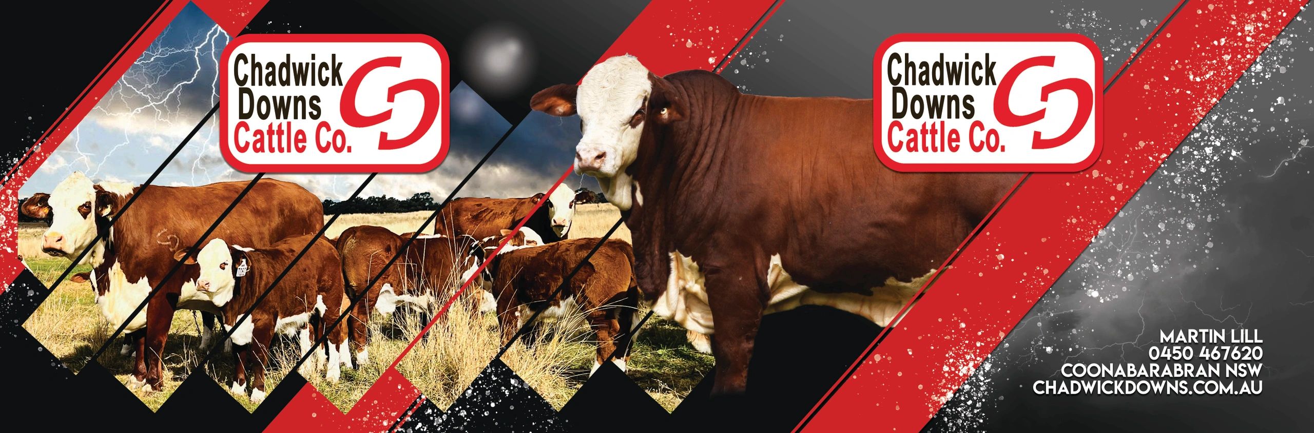 HOME [www.chadwickdowns.com.au]