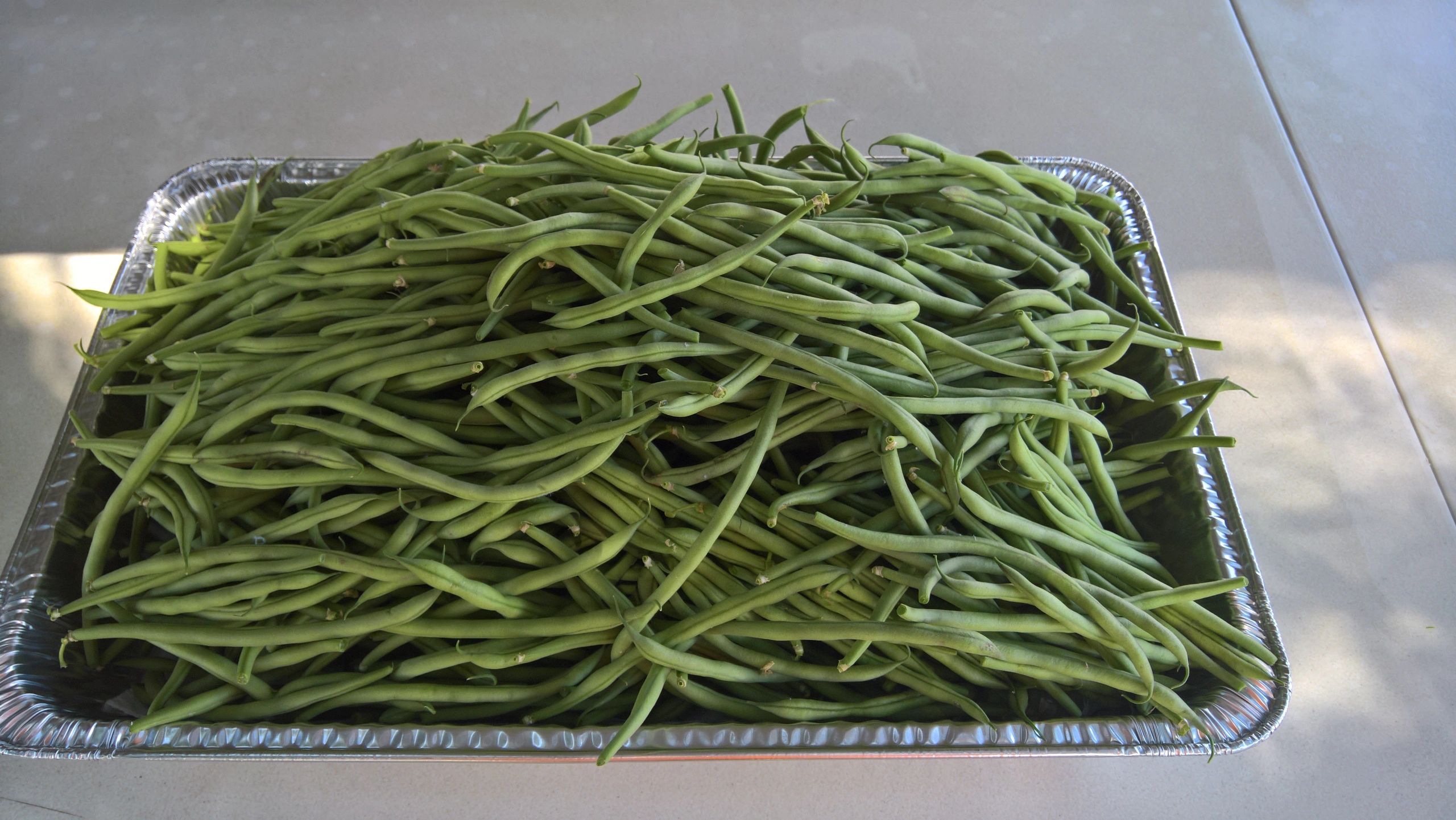 And, More Beans!