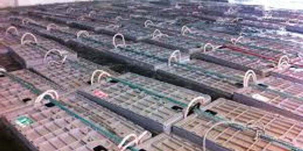 Wholesale | The Lobster Co.