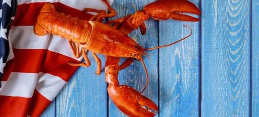 The Lobster Co. - Live Lobster, Seafood Retail / Wholesale, Seafood