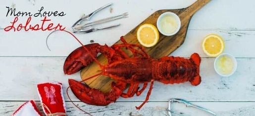 The Lobster Co. - Live Lobster, Seafood Retail / Wholesale, Seafood