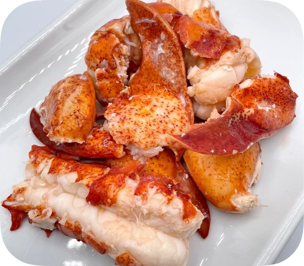 Fresh Frozen Lobster Meat