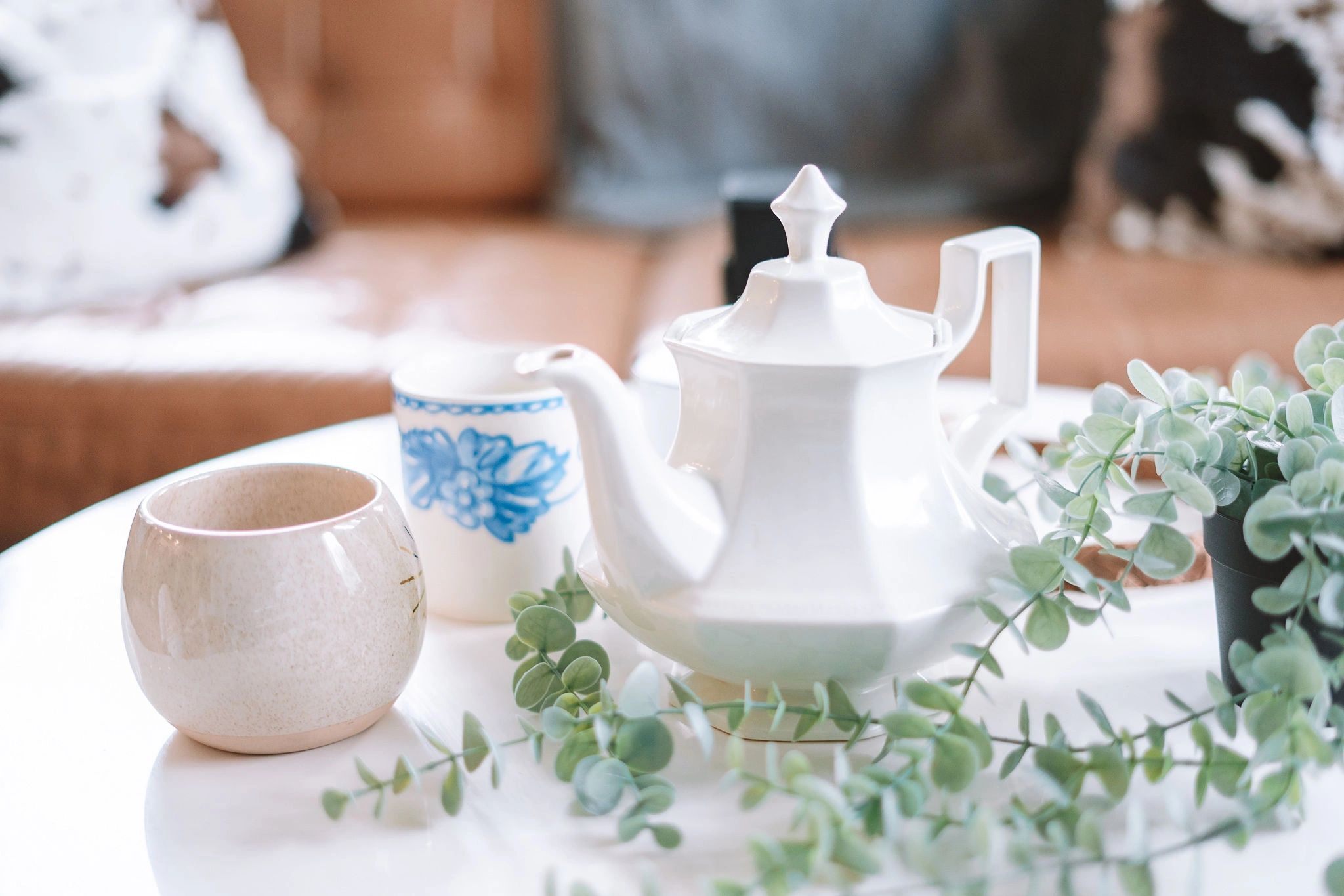 Canadian Indigenous Podcast - Spilling Labrador Tea Under Cedar Trees