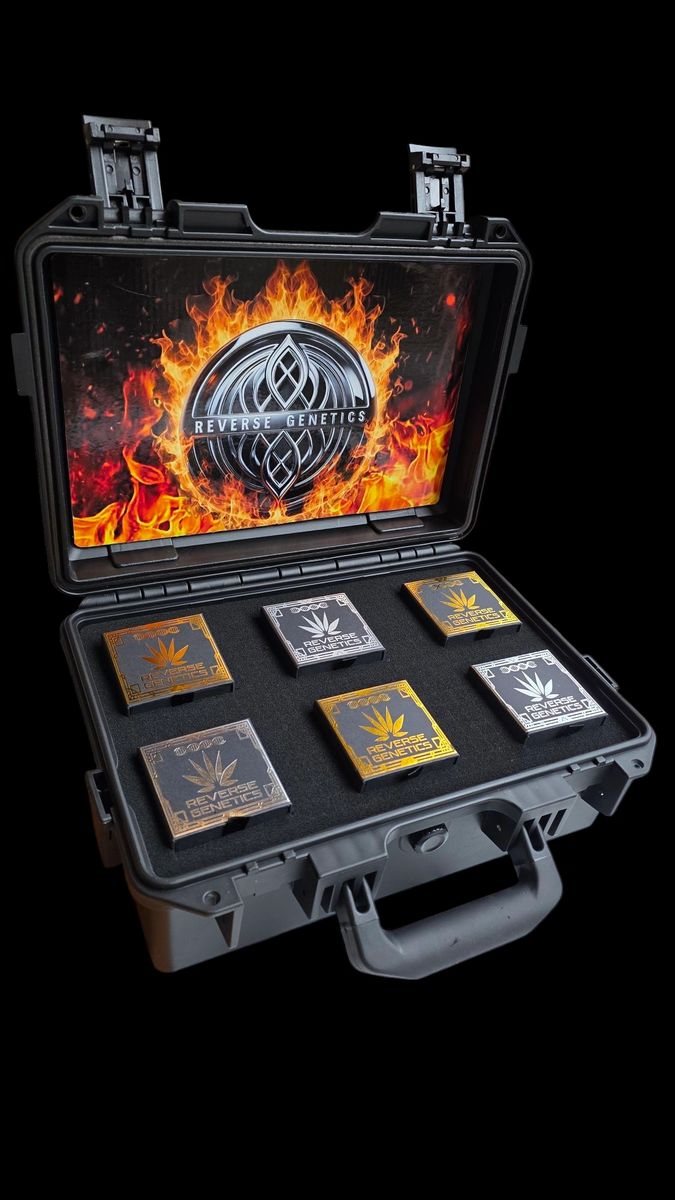 COLLECTIBLE CUSTOM BOX SET 6