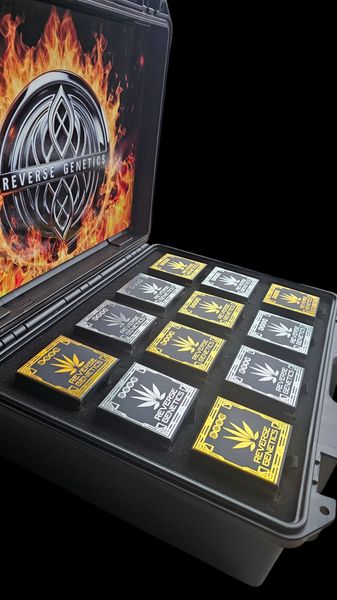 COLLECTIBLE CUSTOM BOX SET 12