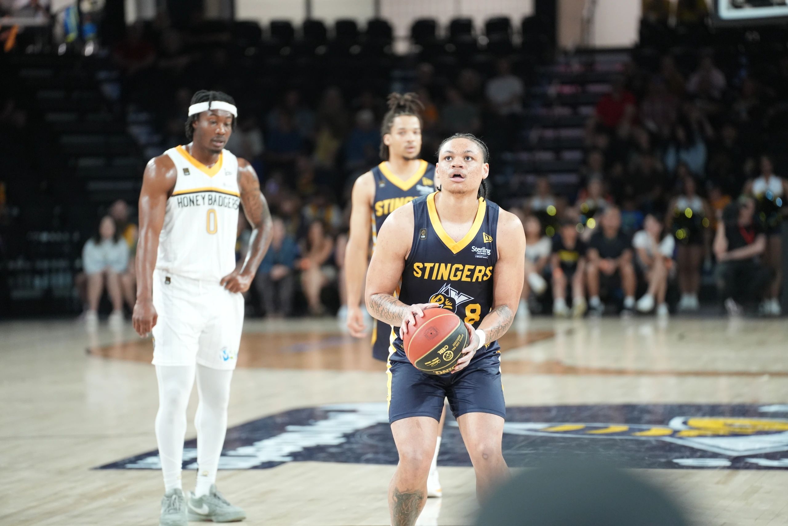 Stingers Tame Honey Badgers, Get First Home Win Of 2025