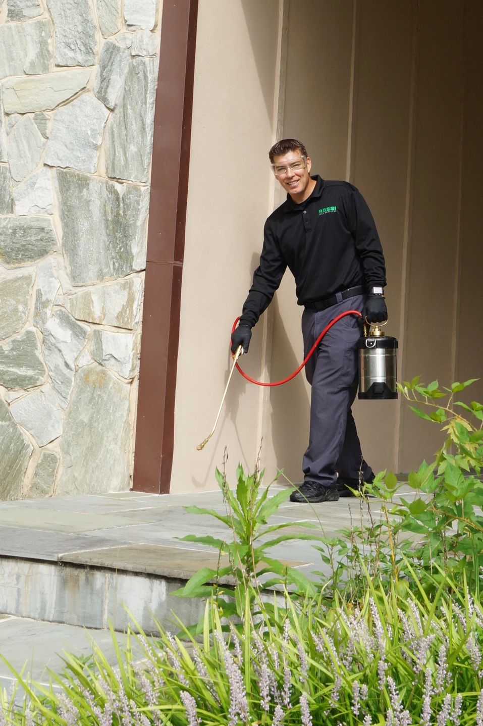 Home [rossipestservices.com]