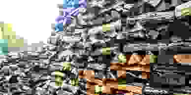 Firewood on Cape Cod - Firewood for Sale, Firewood, Firewood Delivery