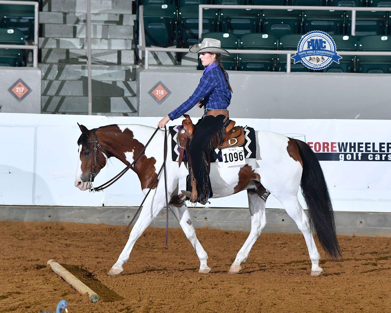 Expert Equestrian Horse Riding Lessons for All Levels