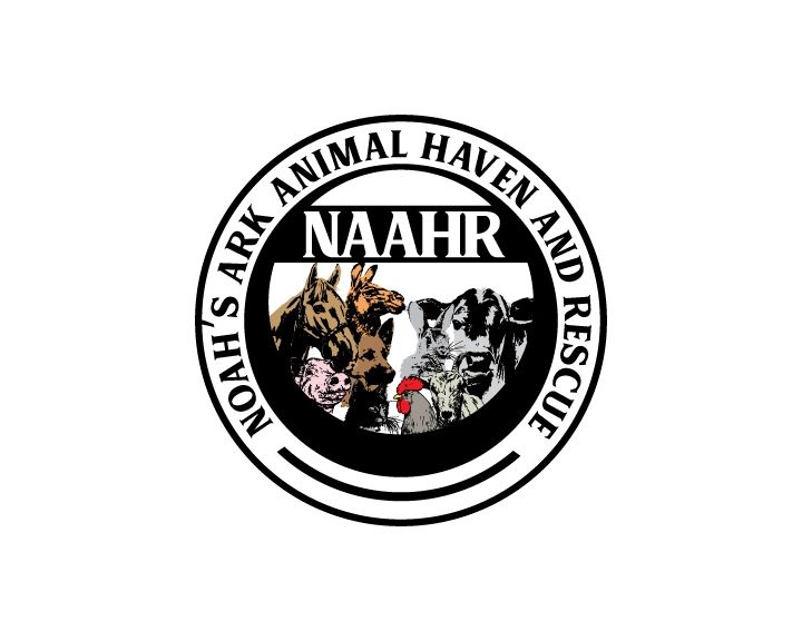 Find Your Perfect Pet at Our Animal Rescue Center