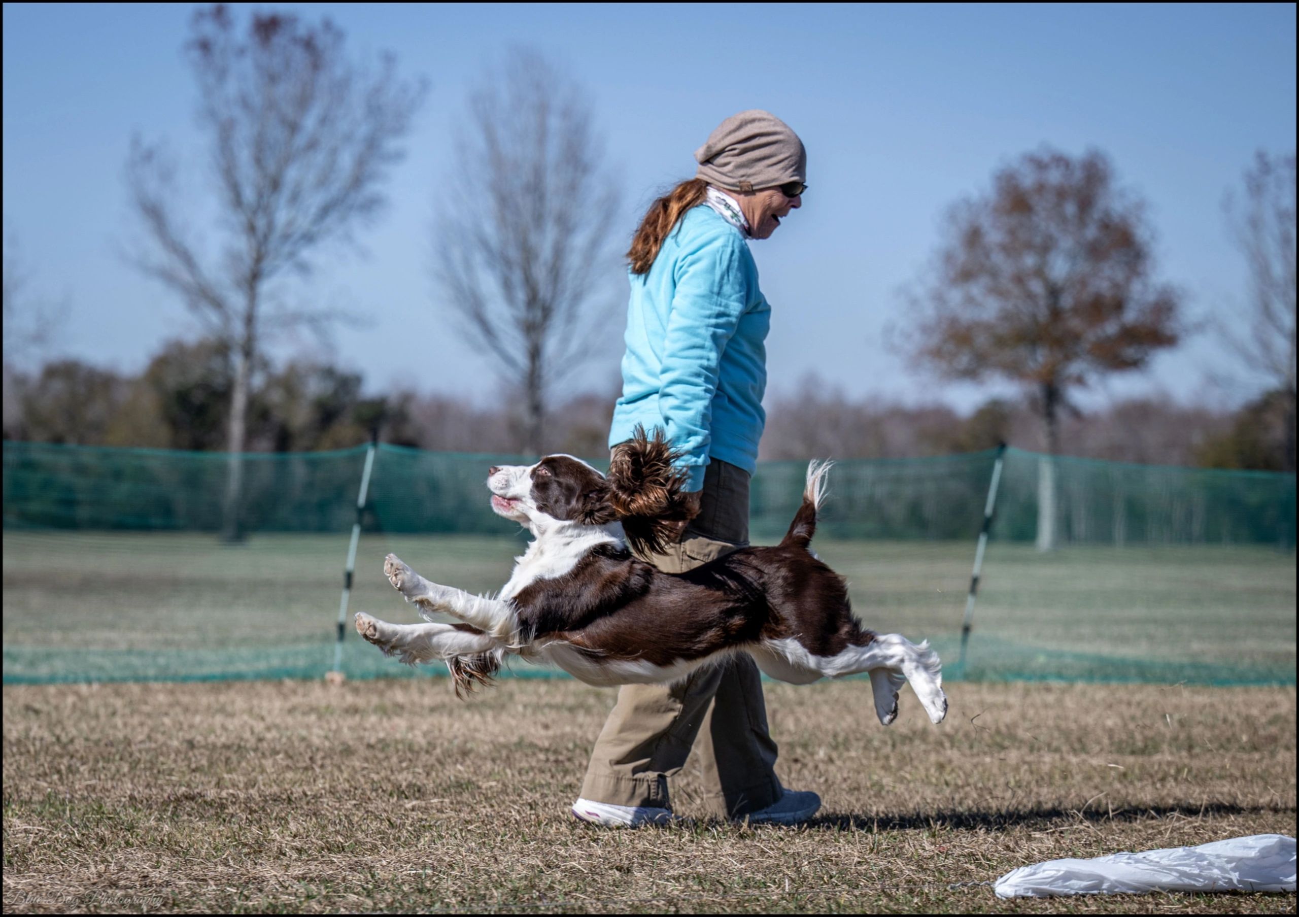 Competition and Pet Dog Training - The Practical Dog