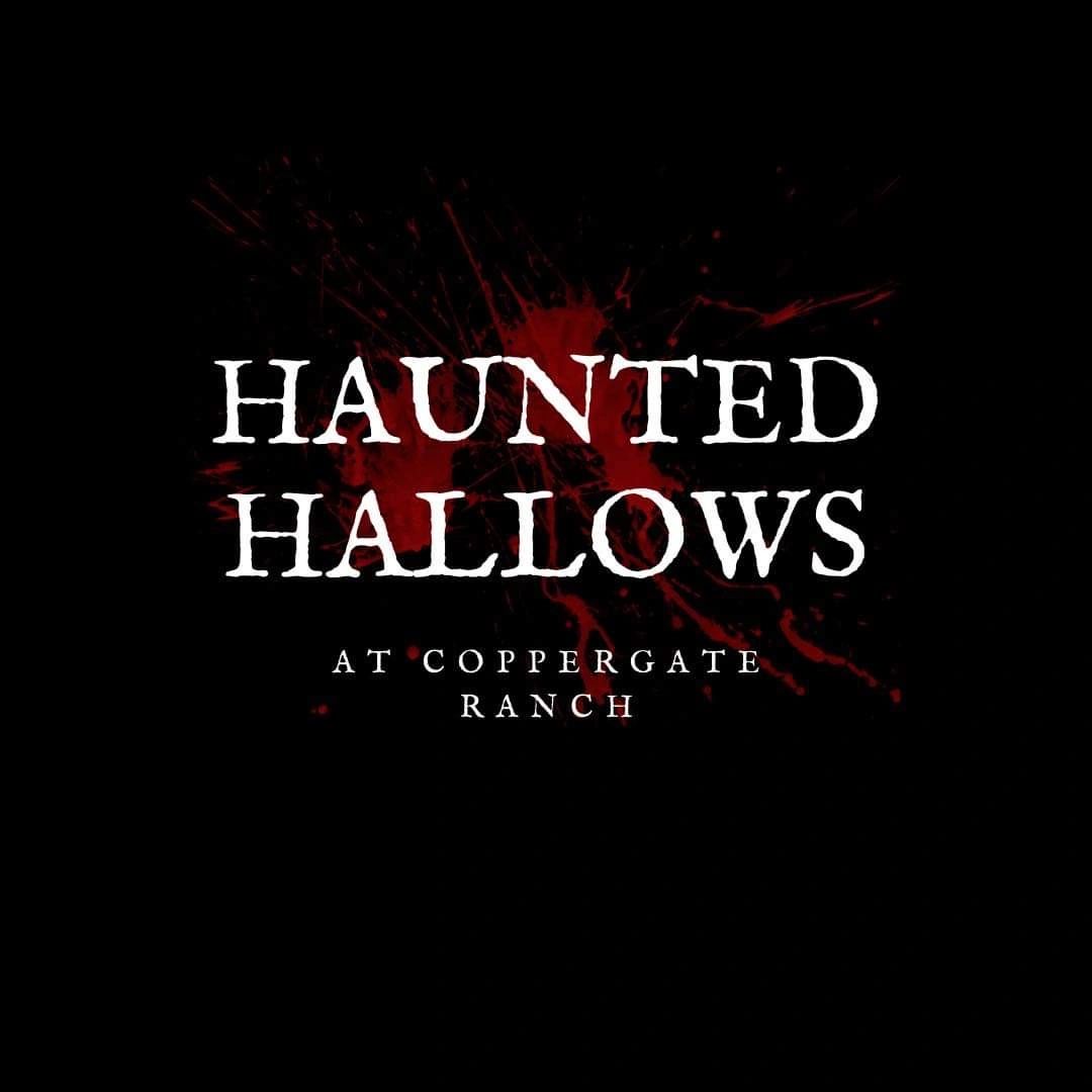 Experience the Thrill of Haunted Hallows - The Best Haunted Attraction