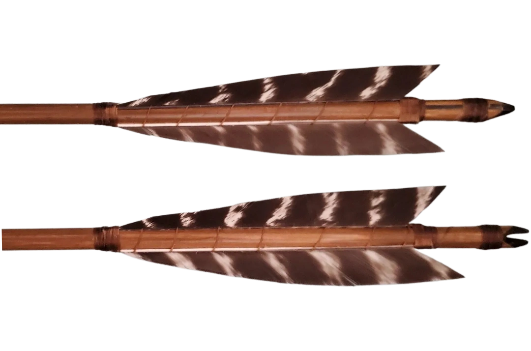 SPSN-11 (Set Of 6)