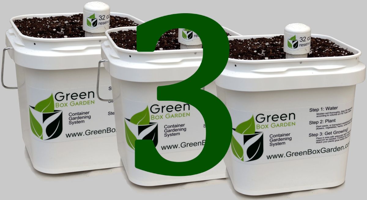 THREE (3) PACK - 9 Inch Cubes - Green Box Garden