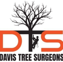 Davis Tree Surgeons - Tree Service, Tree Removal, Tree Specialist