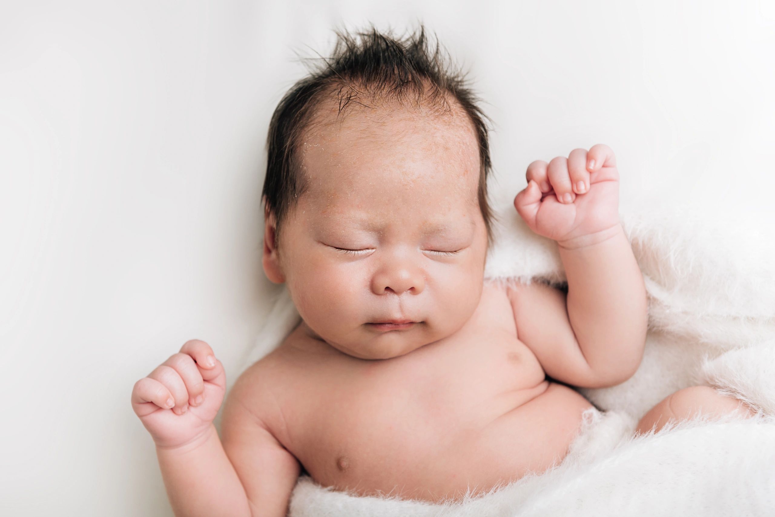 home [sunshinestudios.co.nz]