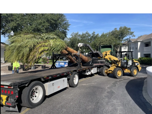 Dora Landscaping Company