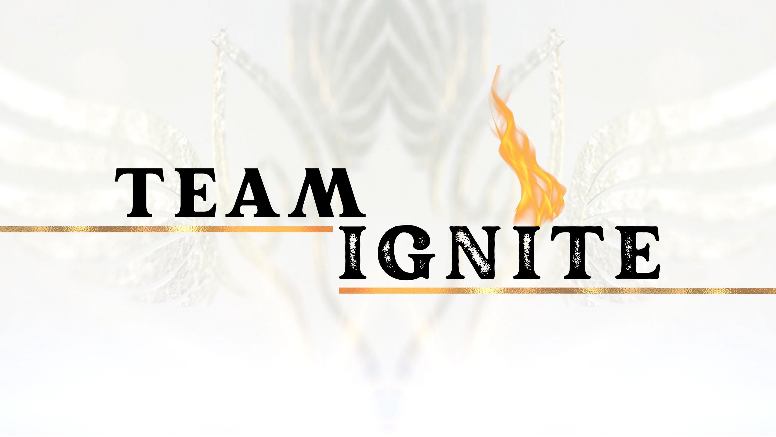 Team Ignite