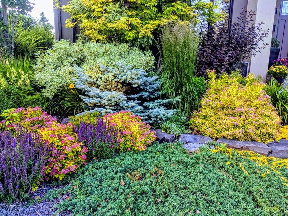 Aris Landscape Design