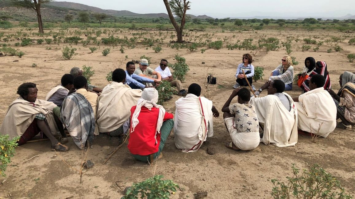 The Curiosity Project | The Curiosity Project