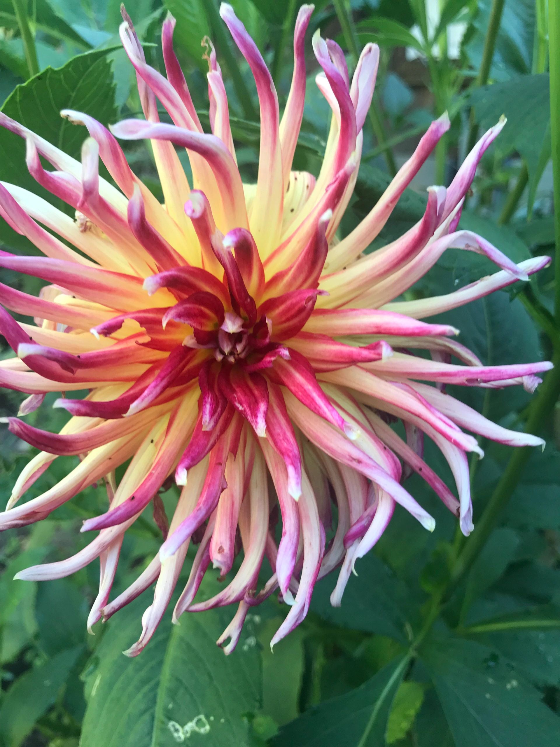 REVIVE in Bloomington, Indiana