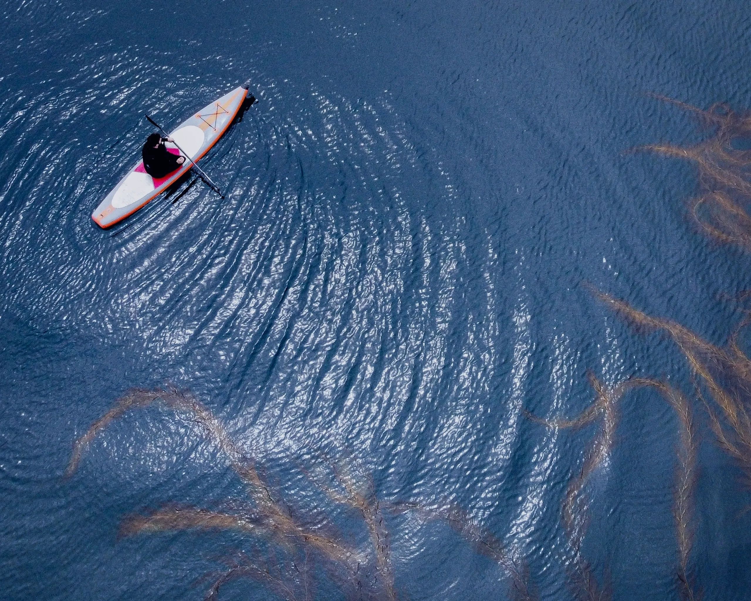 TideGrown: Regenerative Climate Fixing Sea Farms