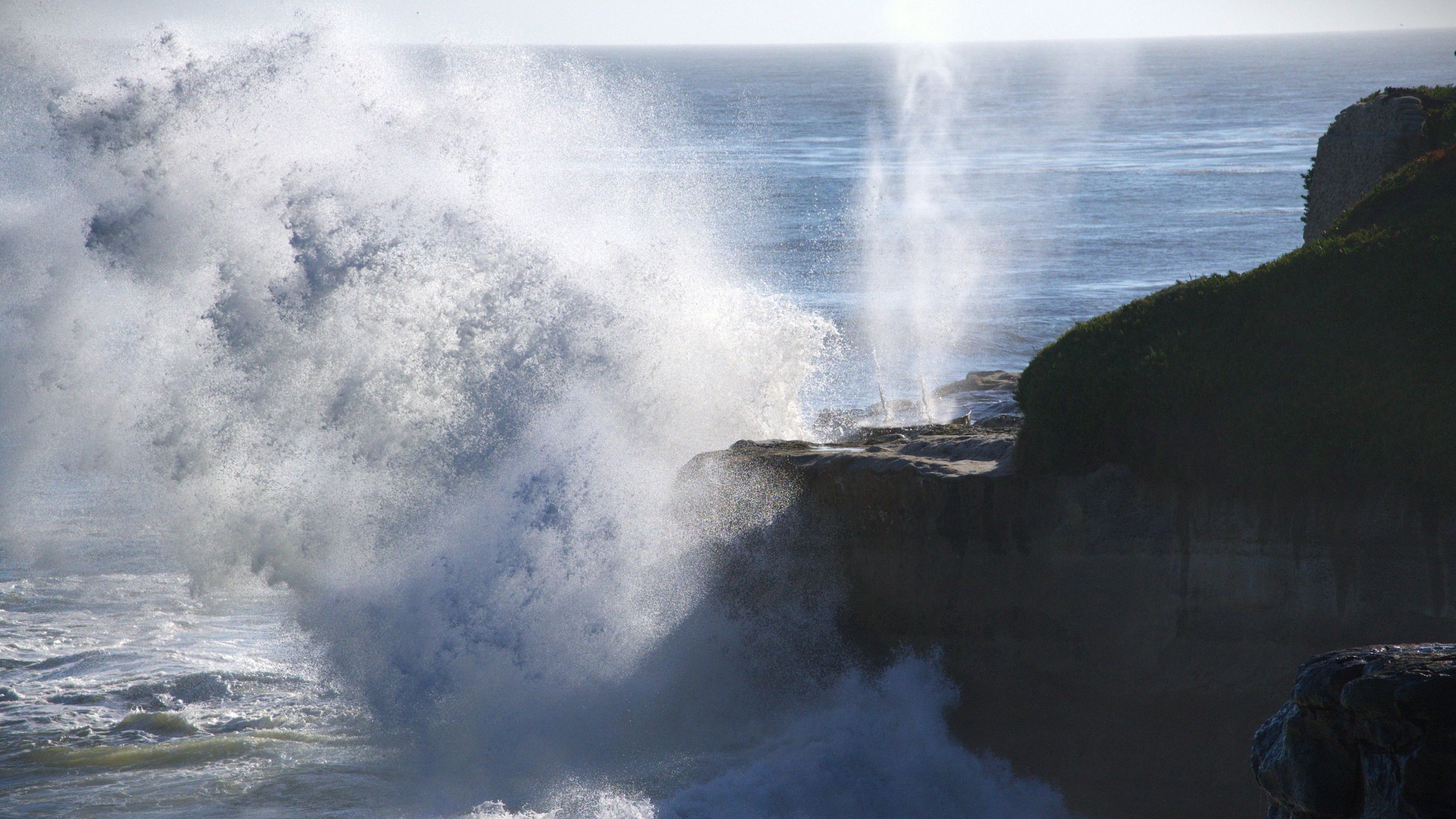 Capture the beauty of wildlife with our wildlife photography services