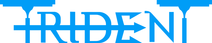 Trident Window & Gutter Cleaning - Home