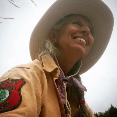 Tami Rogers, Soul Wisdom Healing Studio - Home | Tami Rogers, Soul ...