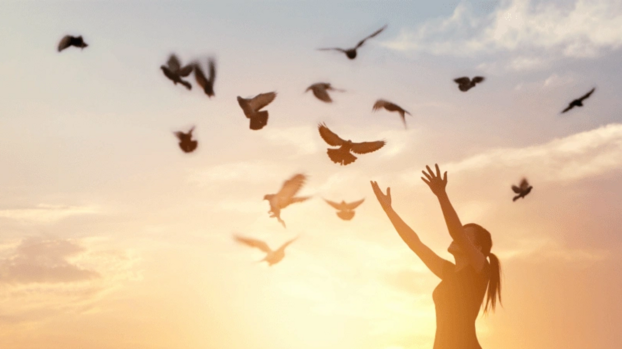 Soul Retrieval Training