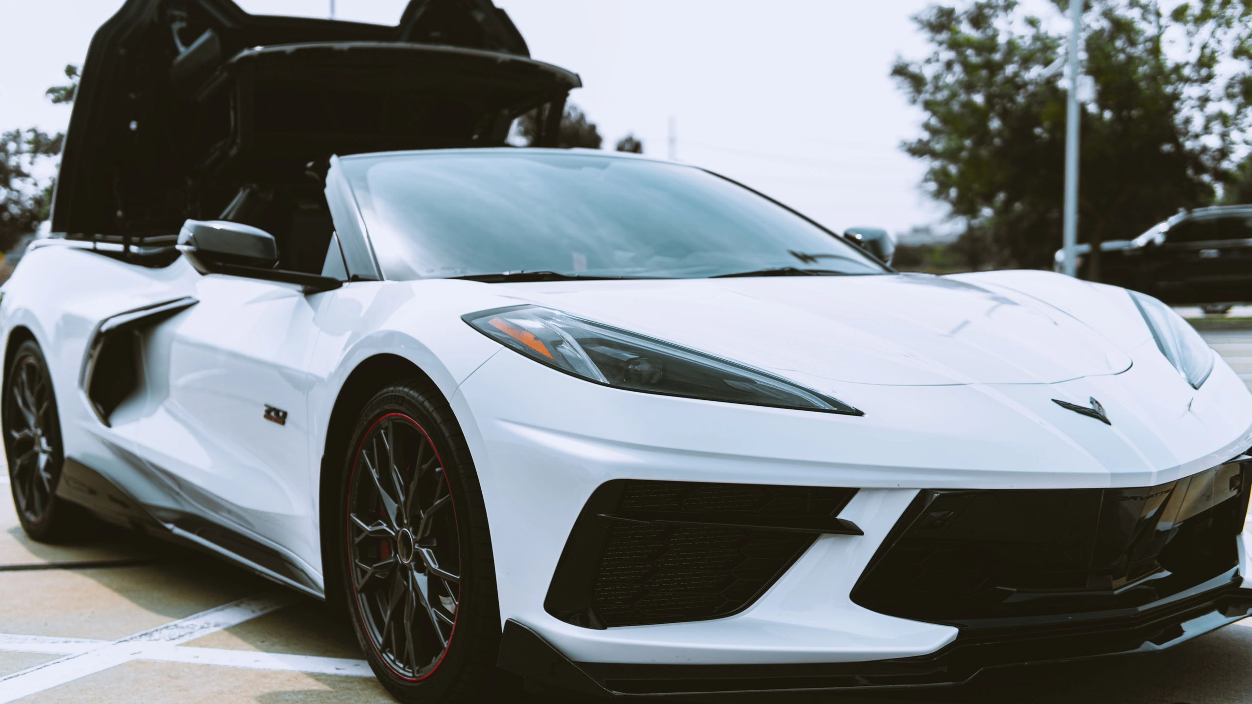 Hyman's C8 70th Anniversary Edition