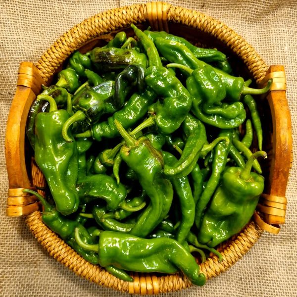 Chillies | Pialligo Harvest