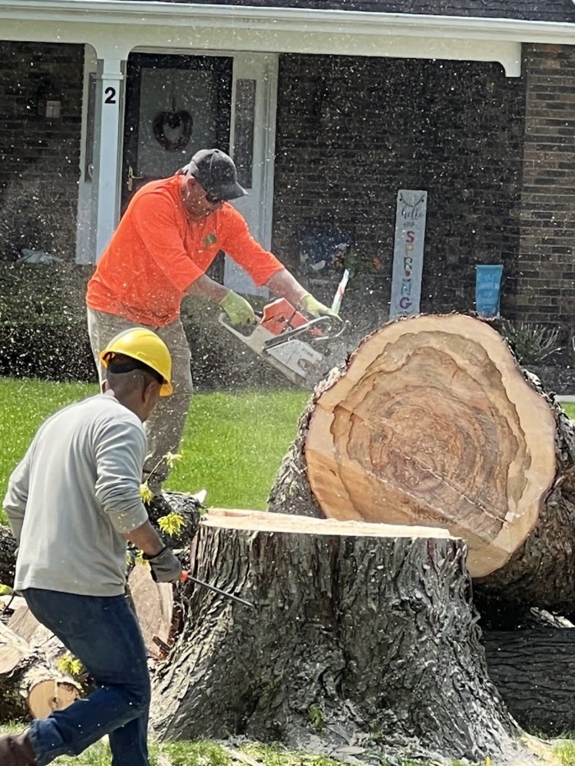 Manny's Tree Service and Landscaping inc.