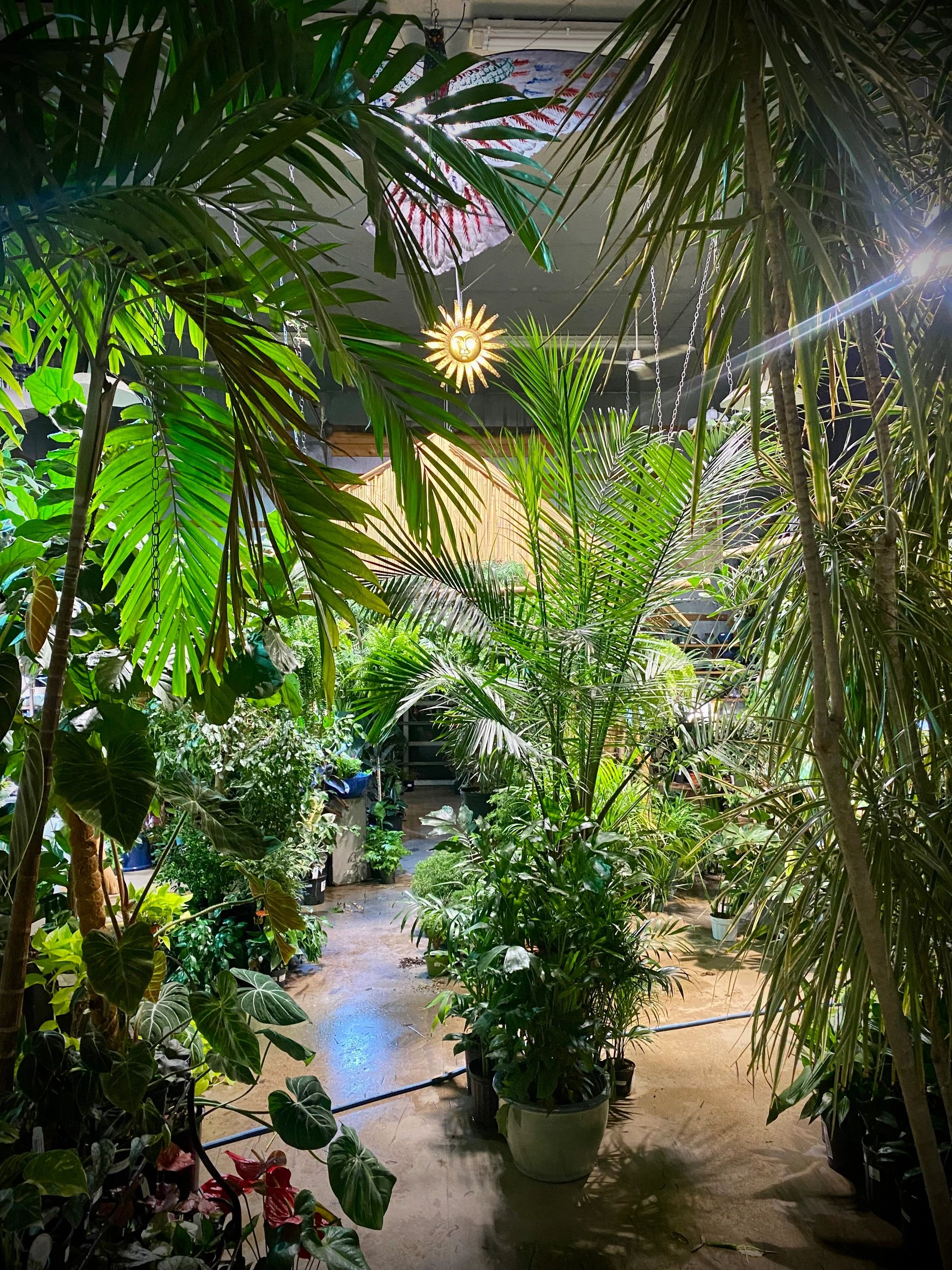 Indoor Sun Shoppe