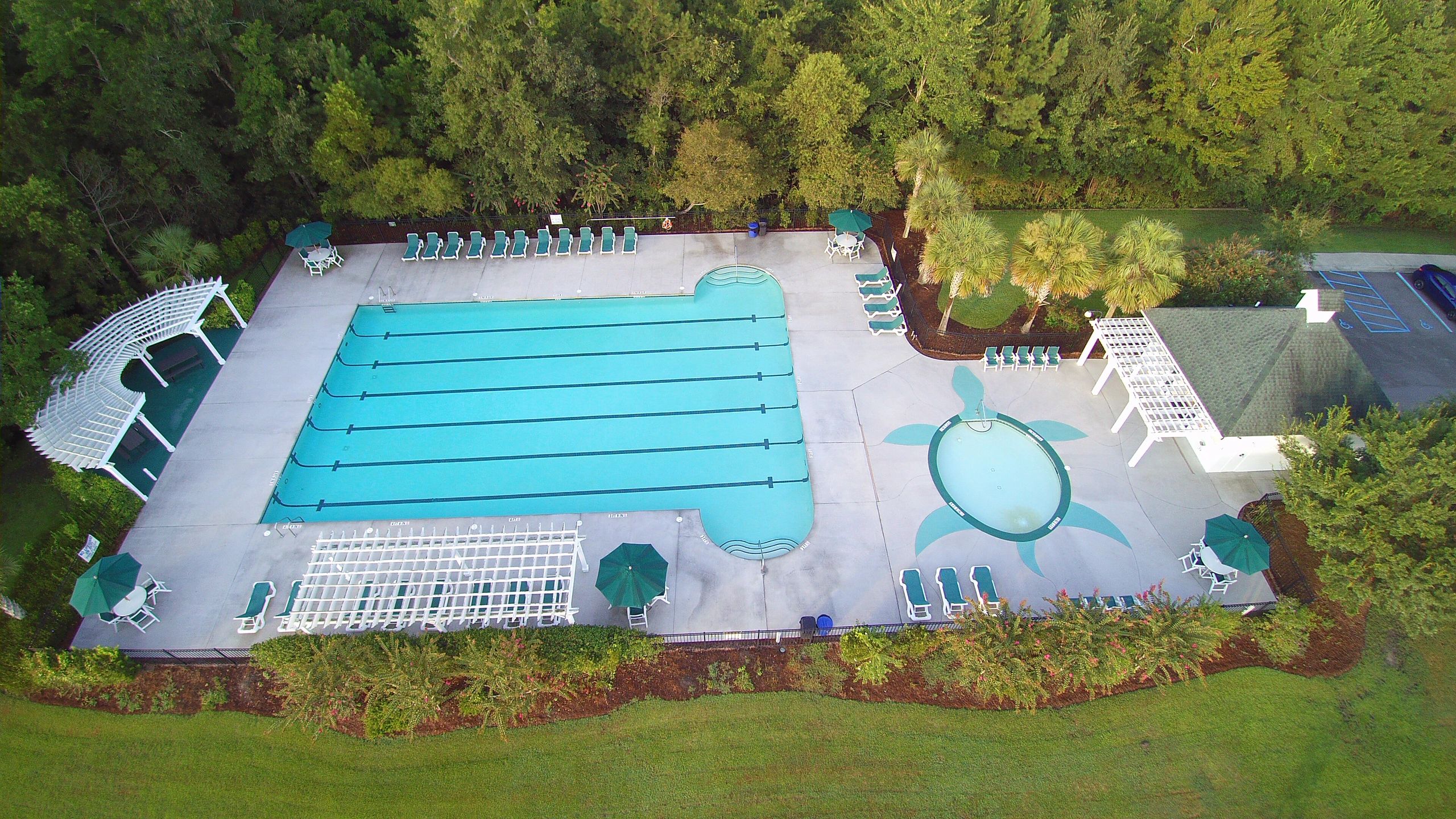 Plametto Forest Pool