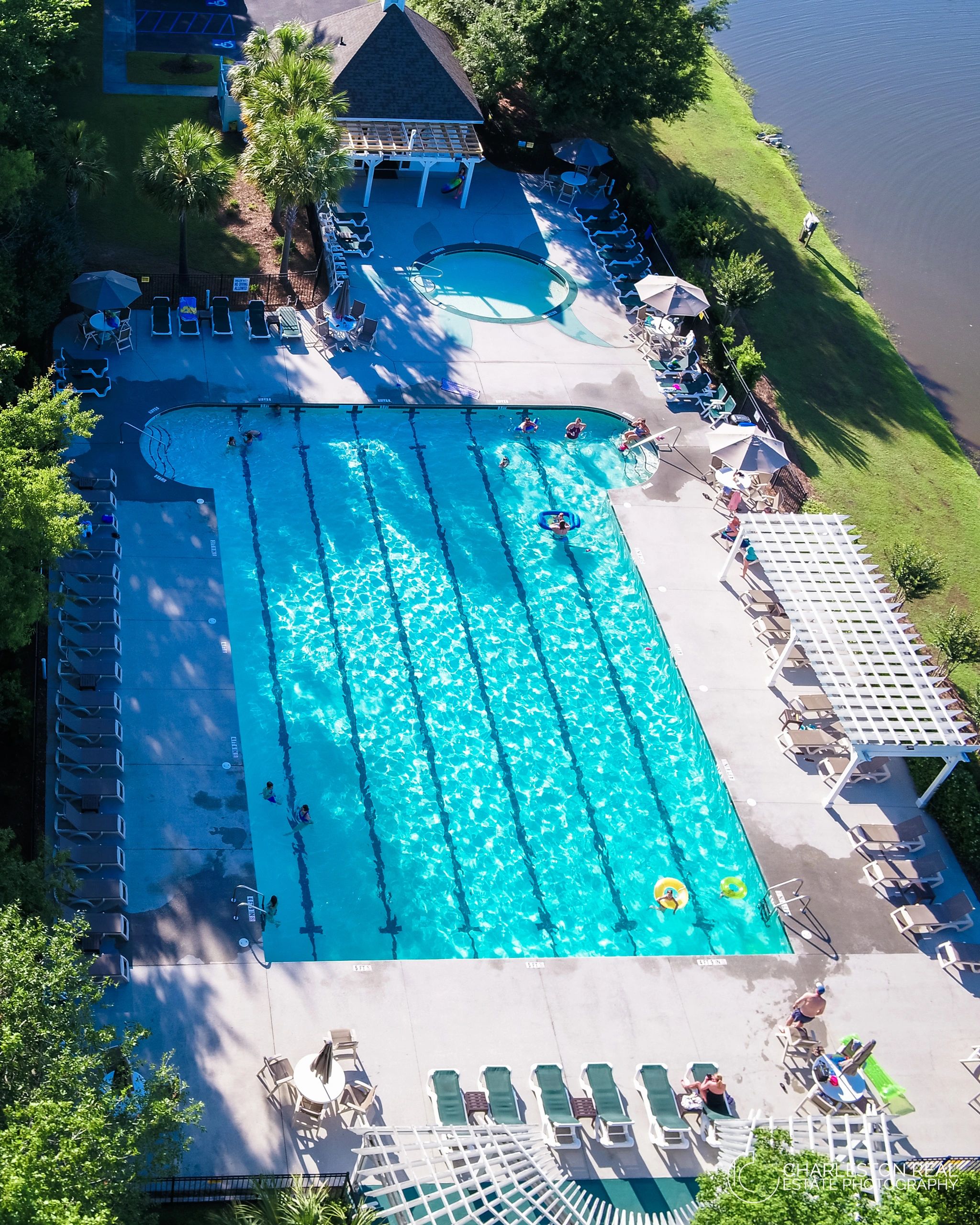 Palmetto Forest Pool