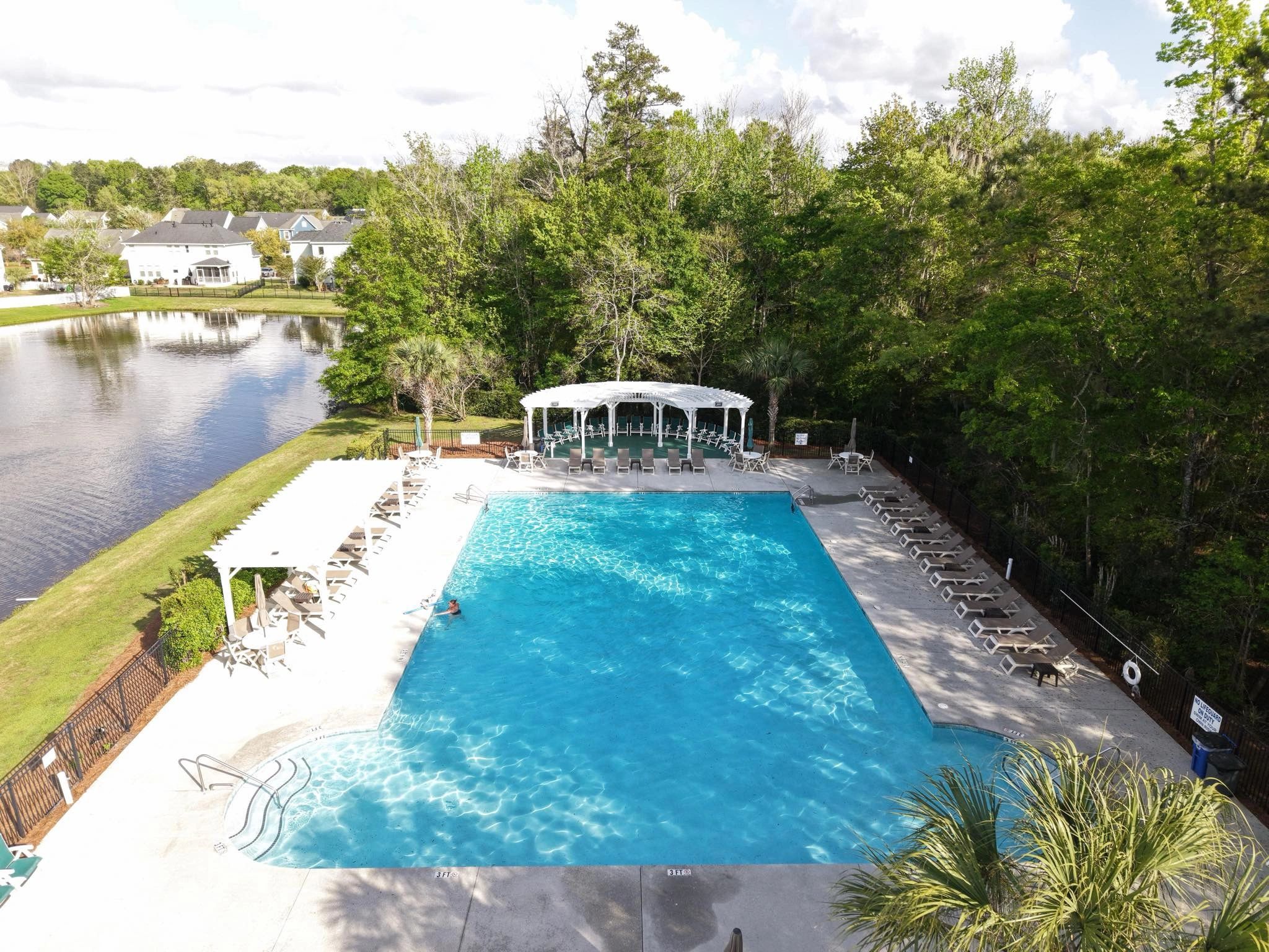 Palmetto Forest Pool