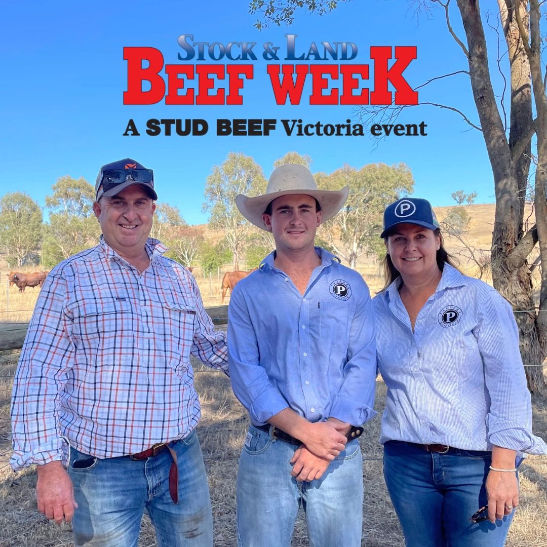 Stock & Land Beef Week a stud beef victoria event