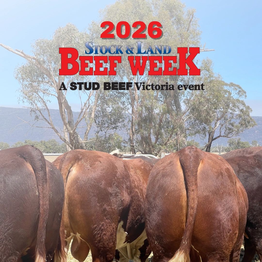 Stock & Land Beef Week a stud beef victoria event